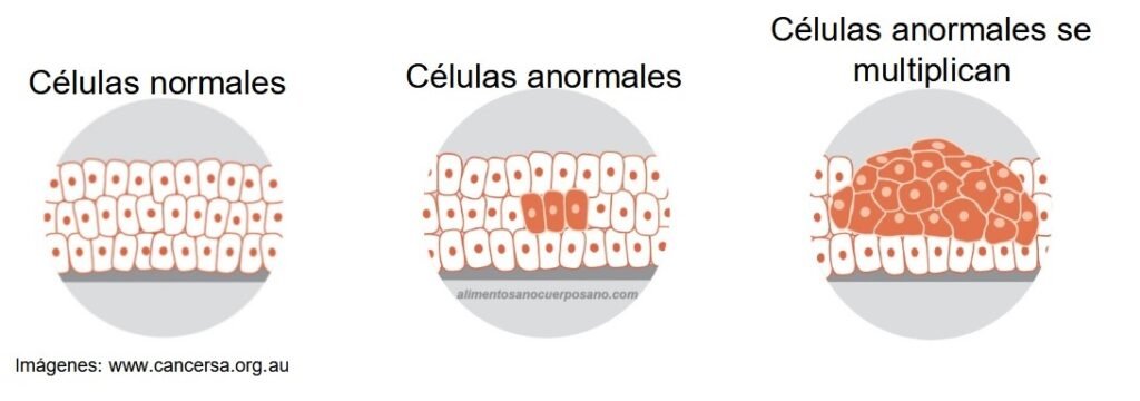 Células normales y células anormales - Héctor Talavera Coach de Salud